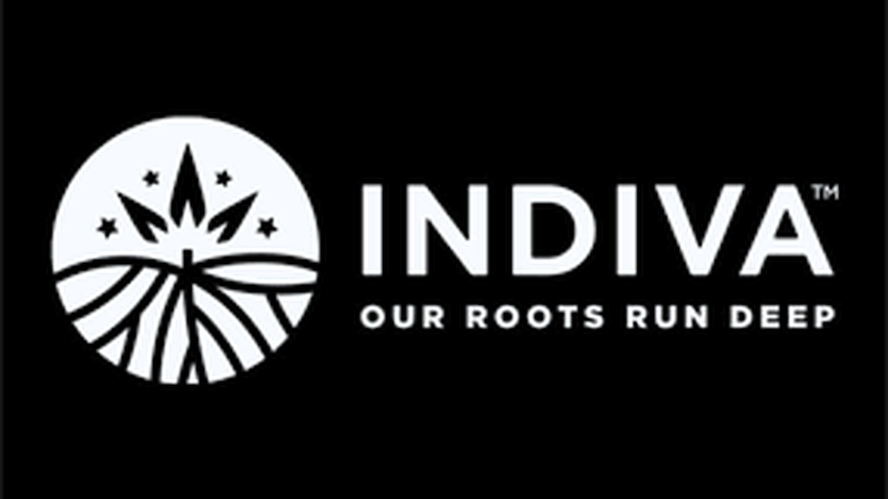 Indiva Reports Record Fourth Quarter and Fiscal Year 2021 Results ...